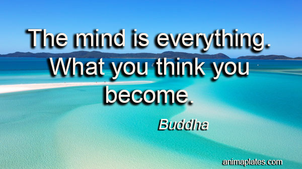 The mind is everything… – Animaplates