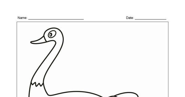 Ostrich – Animaplates