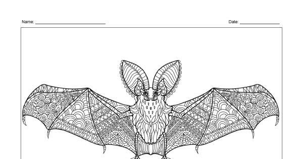 Bat – Animaplates