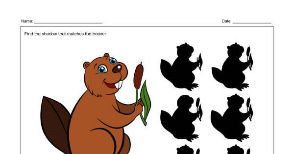Find the beaver’s shadow – Animaplates