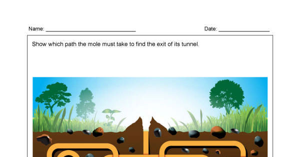 Mole Maze – Animaplates